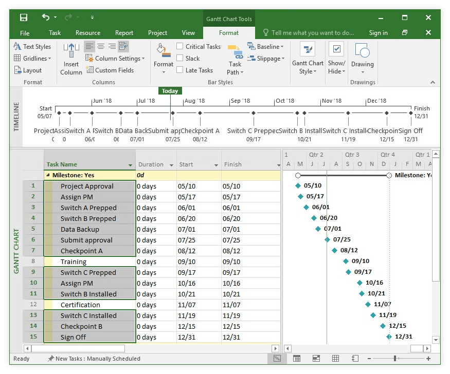 MS Project Timeline Tutorial | Free Template | Export to PPT