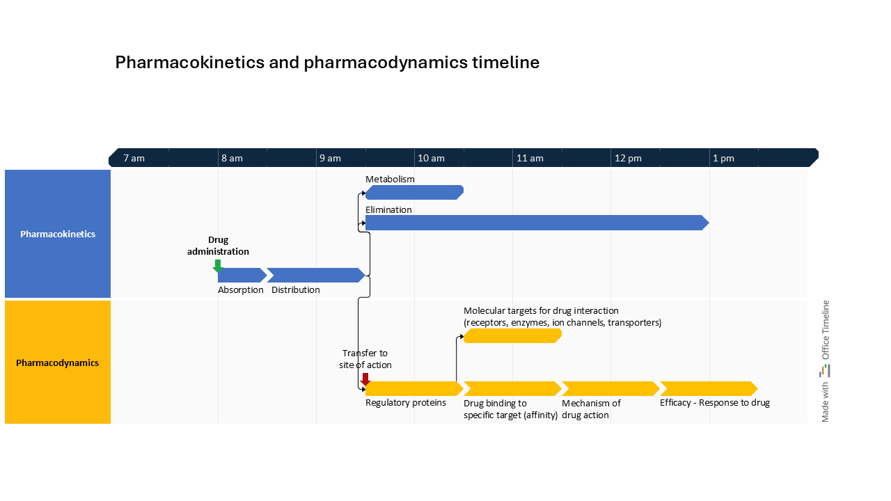 Pharma Project Management: timelines in pharmacokinetics