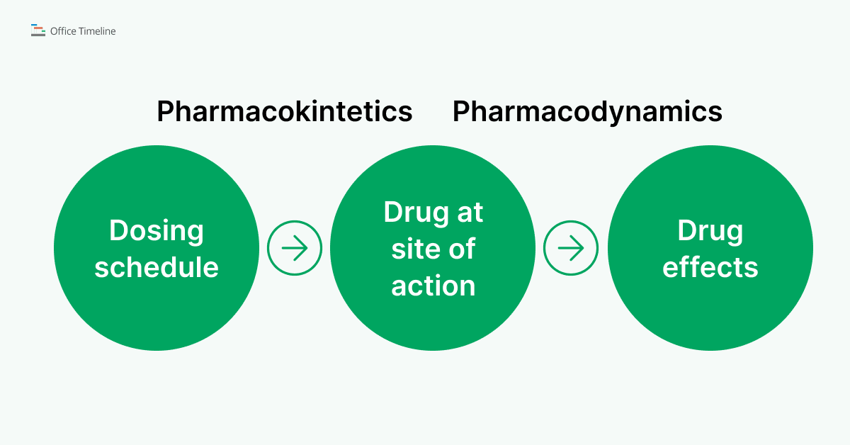 Pharma Project Management: timelines in pharmacokinetics